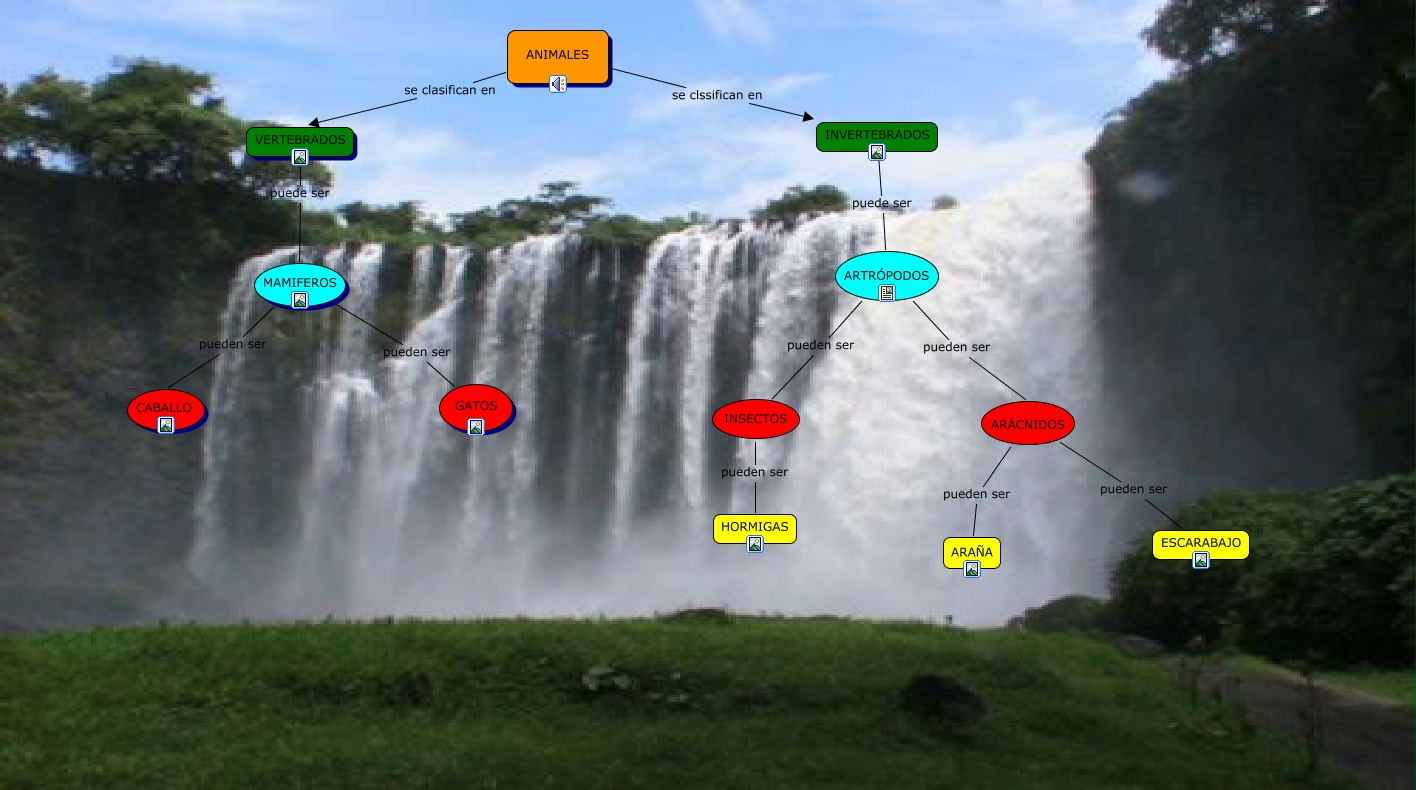 animales vertebrados e invertebrados